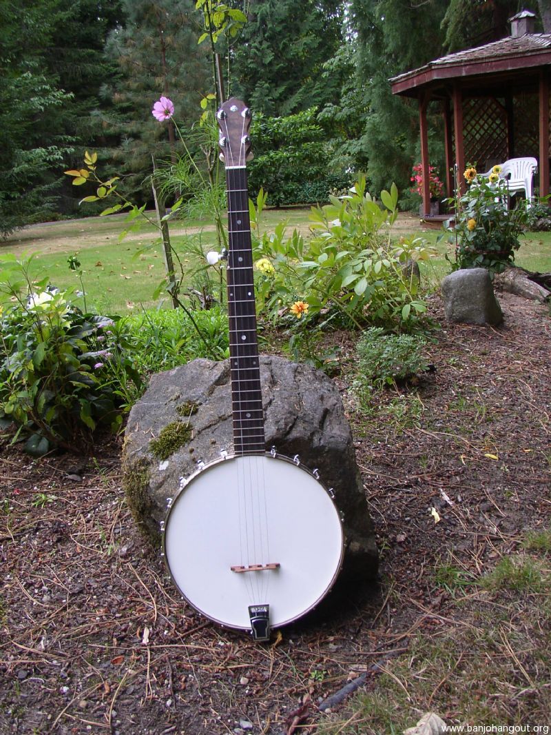 New Beautiful 11" Open Back Mahogany 5 String Banjo - Used Banjo For ...