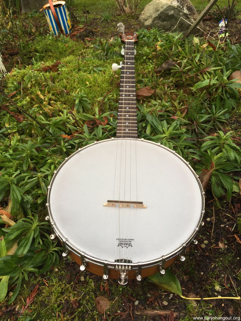 Open Back 5 String Banjo Nice Player L@@K! - Used Banjo For Sale at ...