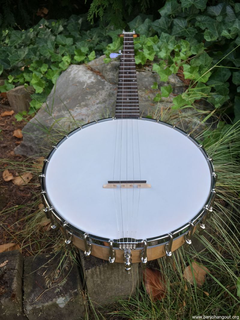 New Hand Crafted 5 String Open Back Banjo - Used Banjo For Sale at ...