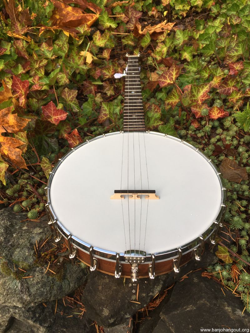 New 11" Hand Crafted Short Scale Open Back 5 String Banjo - Used Banjo ...