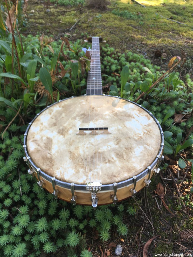Refurbished Old Time 5 String Open Back Banjo - Used Banjo For Sale at ...