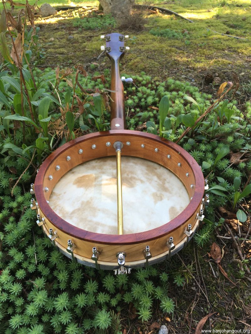 Refurbished Old Time 5 String Open Back Banjo - Used Banjo For Sale at ...
