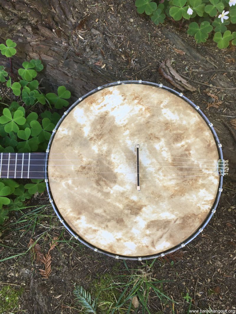 Refurbished Old Time 5 String Open Back Banjo - Used Banjo For Sale at ...