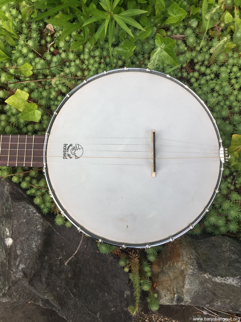 Refurbished Old Time 5 String Open Back Banjo - Used Banjo For Sale at ...