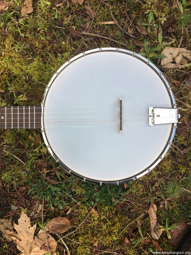 Newly Crafted 11" Open Back 5 String Banjo - Used Banjo For Sale at ...