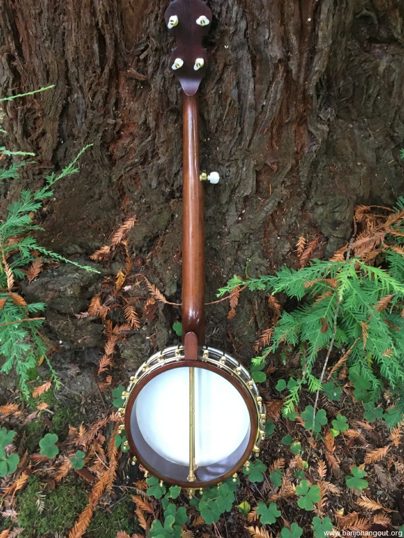 Circa 1970’s Gold Plated Open Back Banjo - Used Banjo For Sale at ...