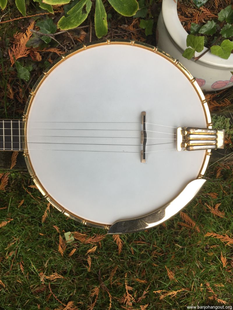 Circa 1970’s Gold Plated Open Back Banjo - Used Banjo For Sale at ...