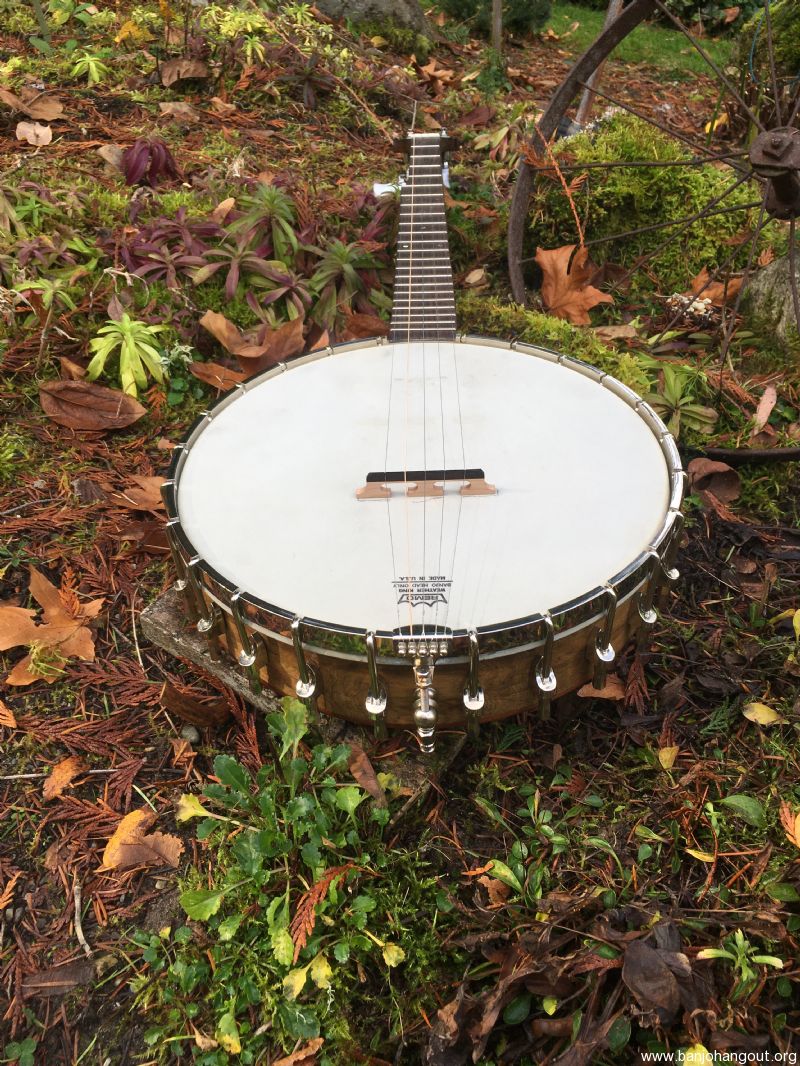 New African Black Limba with Walnut trim 11" 5 String Open Back Banjo ...