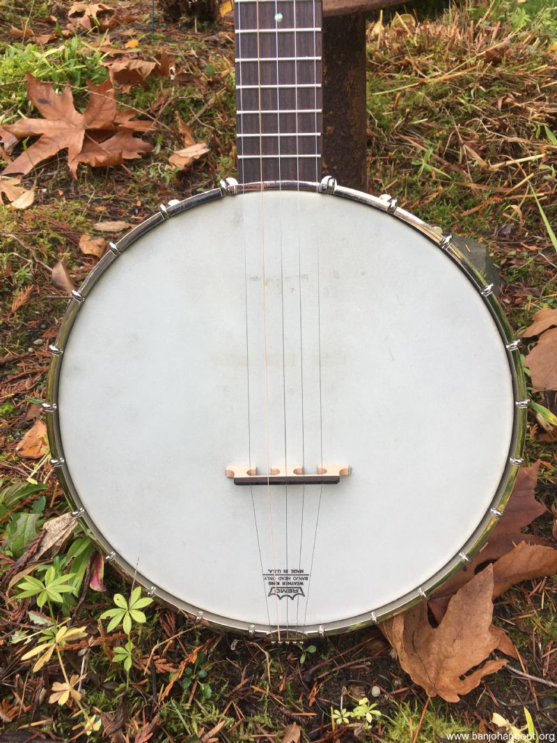 New African Black Limba with Walnut trim 11" 5 String Open Back Banjo ...