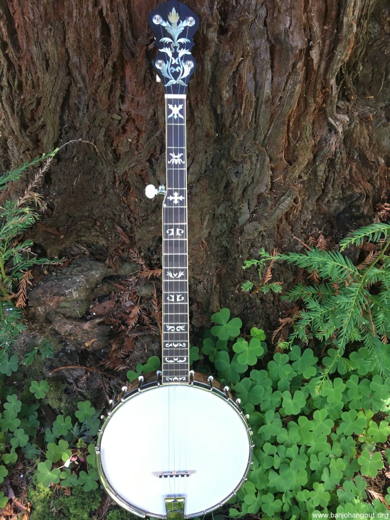 Beautiful African Black Limba and Walnut banjo - Used Banjo For Sale at ...