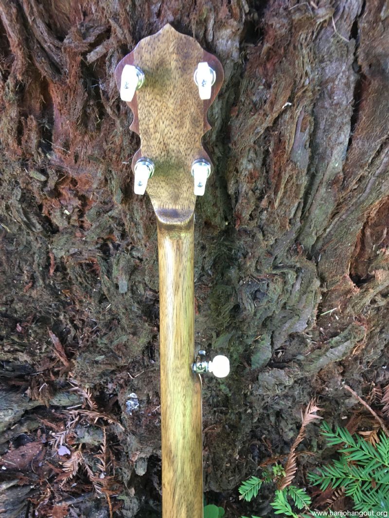 Beautiful African Black Limba and Walnut banjo - Used Banjo For Sale at ...