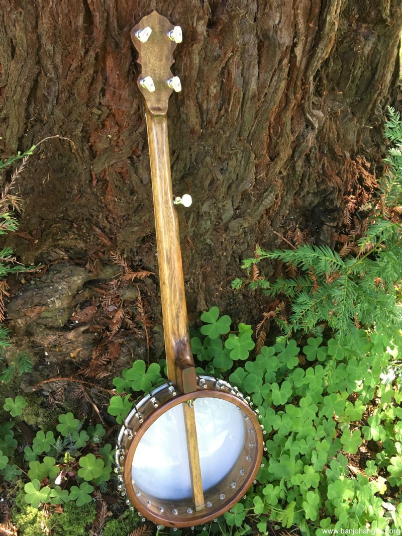 Beautiful African Black Limba and Walnut banjo - Used Banjo For Sale at ...