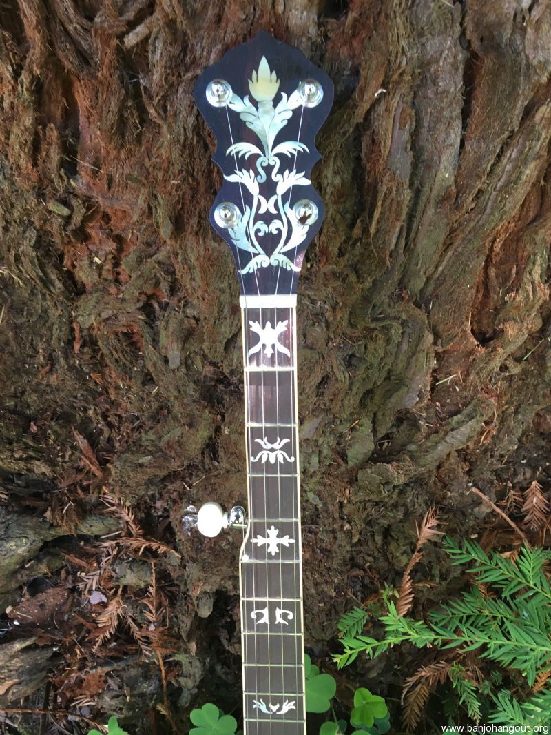 Beautiful African Black Limba and Walnut banjo - Used Banjo For Sale at ...