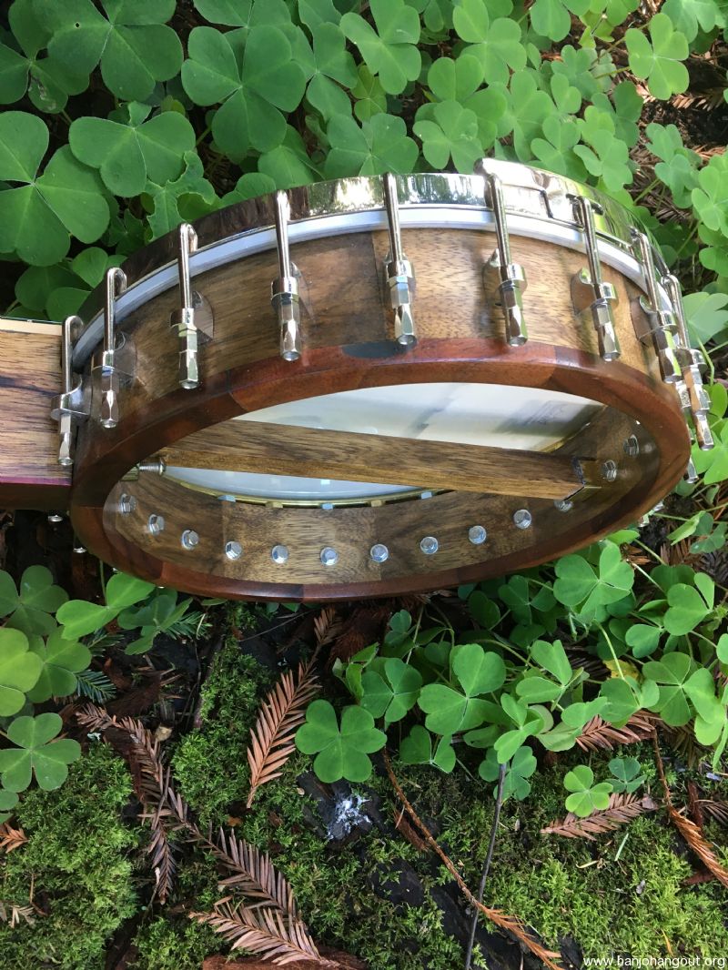 Beautiful African Black Limba and Walnut banjo - Used Banjo For Sale at ...
