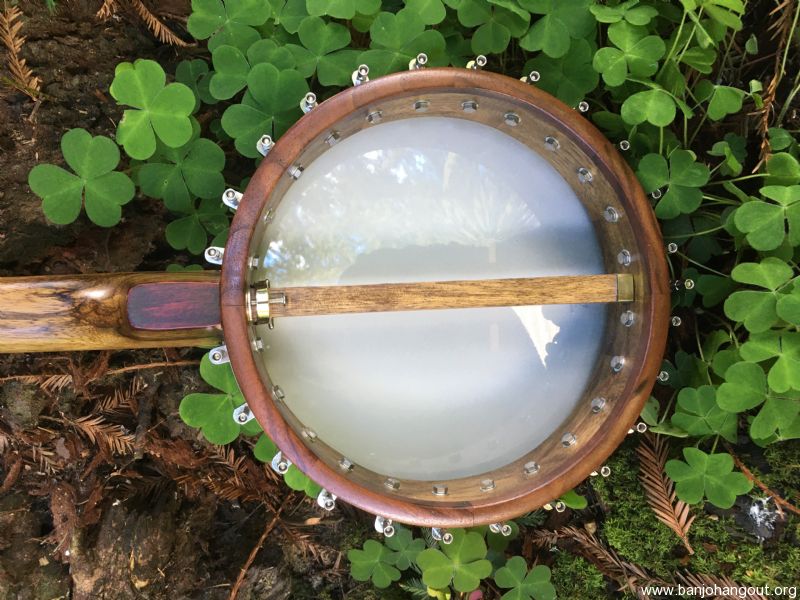 Beautiful African Black Limba and Walnut banjo - Used Banjo For Sale at ...