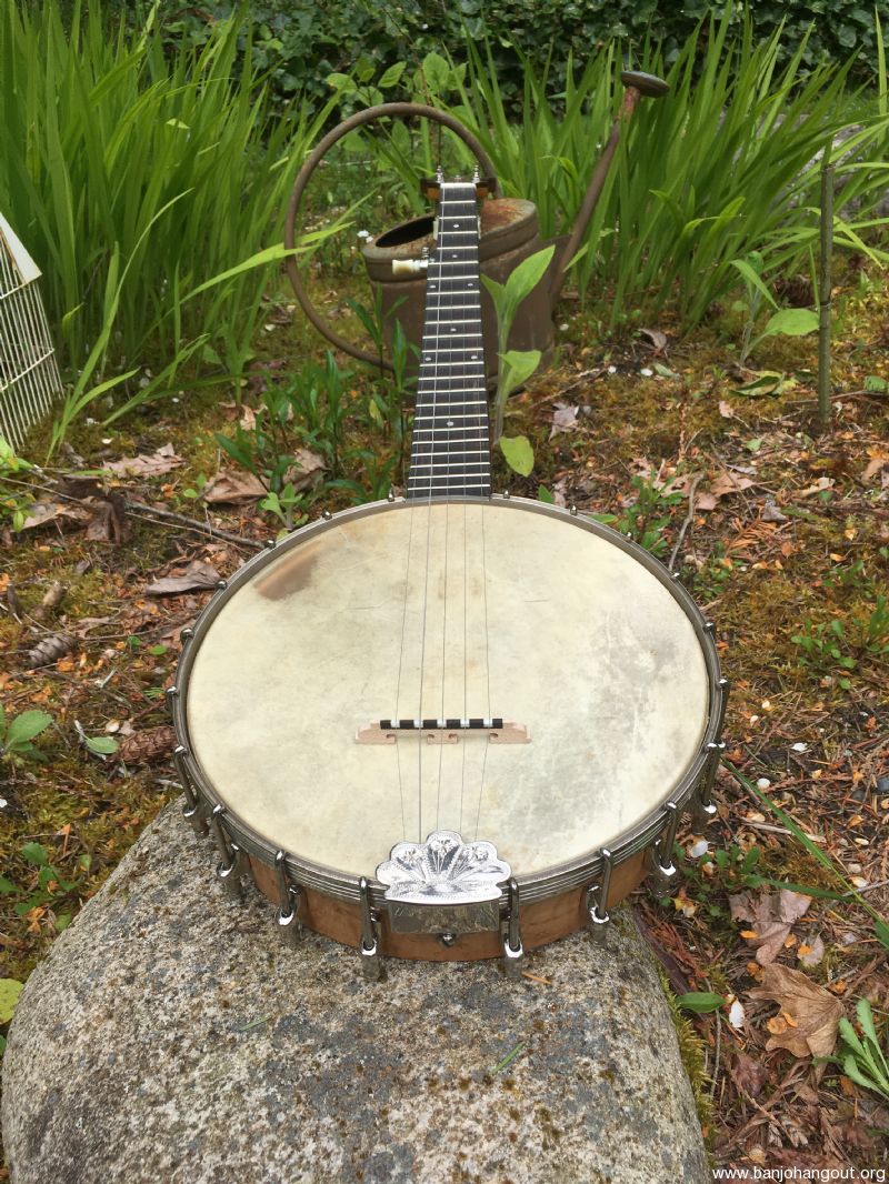 Newly Crafted 11" Open Back 5 String Banjo Vintage Pot and New neck ...