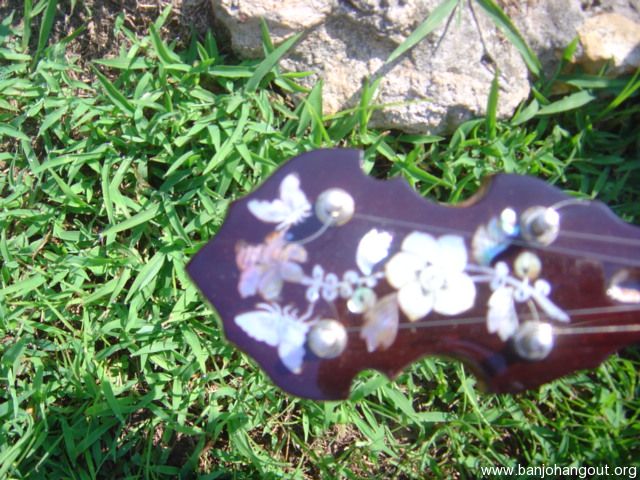 Top of the line Open Back Banjo. Solid block maple rim walnut cap ...
