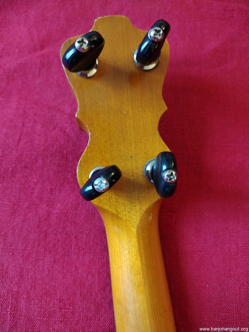 SOLD: LYON & HEALY 5 string *nylon strings *skin head Like New*** pending*** - Banjo Hangout