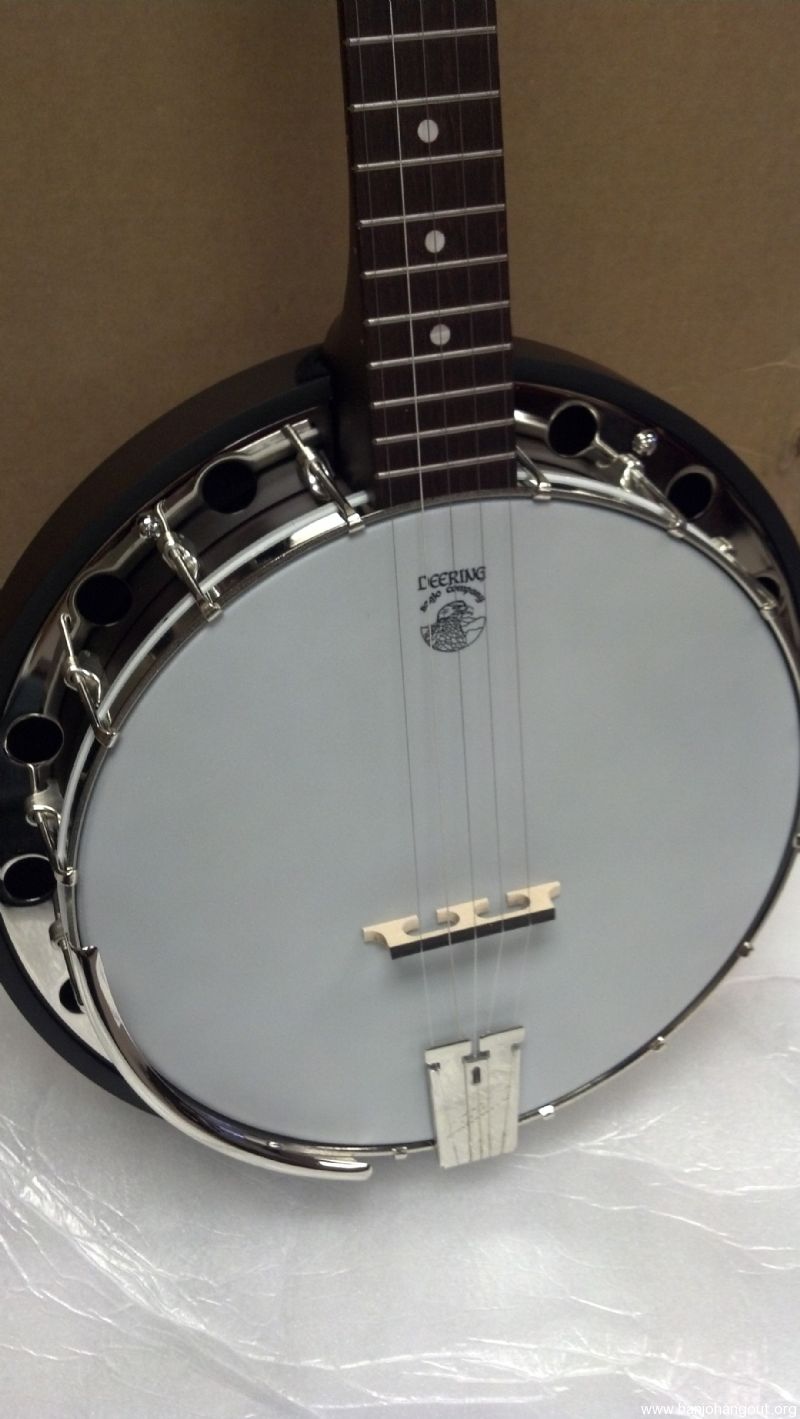 Goodtime Classic 2 banjo with Deering HSC - Used Banjo For Sale at ...