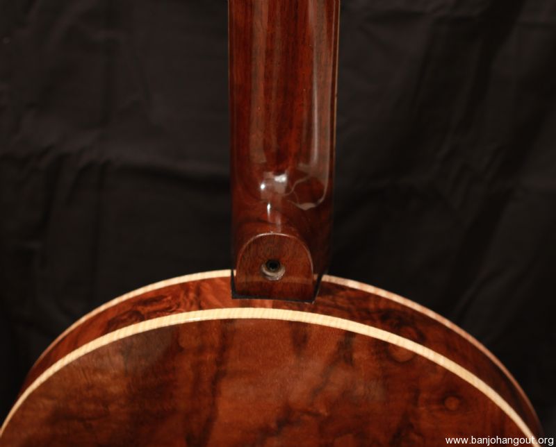 SOLD: Beautiful Nechville Custom 7-String Banjo | One-of-a-Kind - Used ...