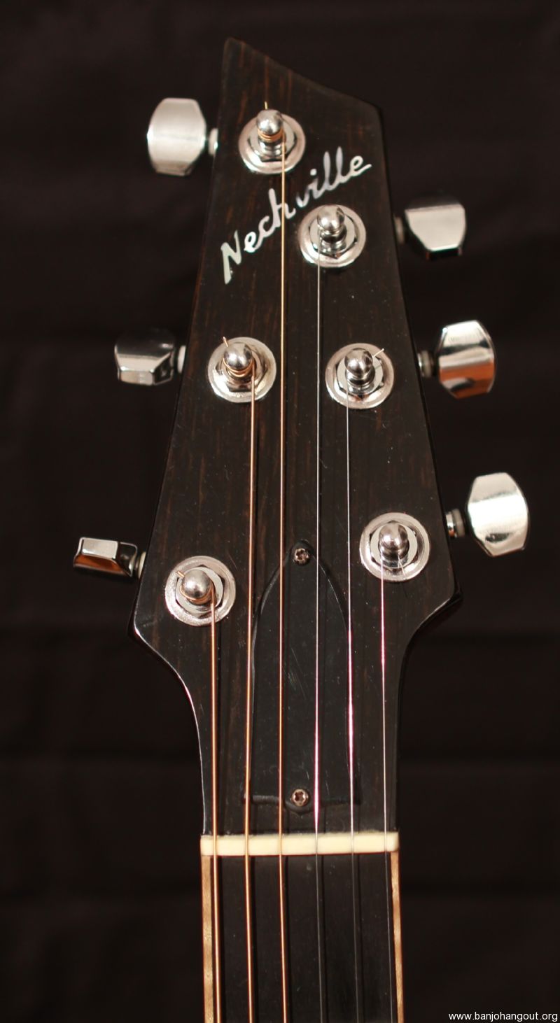 SOLD: Beautiful Nechville Custom 7-String Banjo | One-of-a-Kind - Used ...