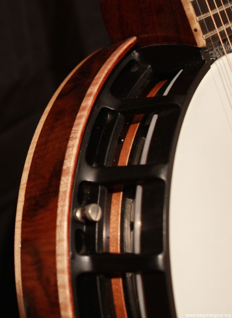 SOLD: Beautiful Nechville Custom 7-String Banjo | One-of-a-Kind - Used ...