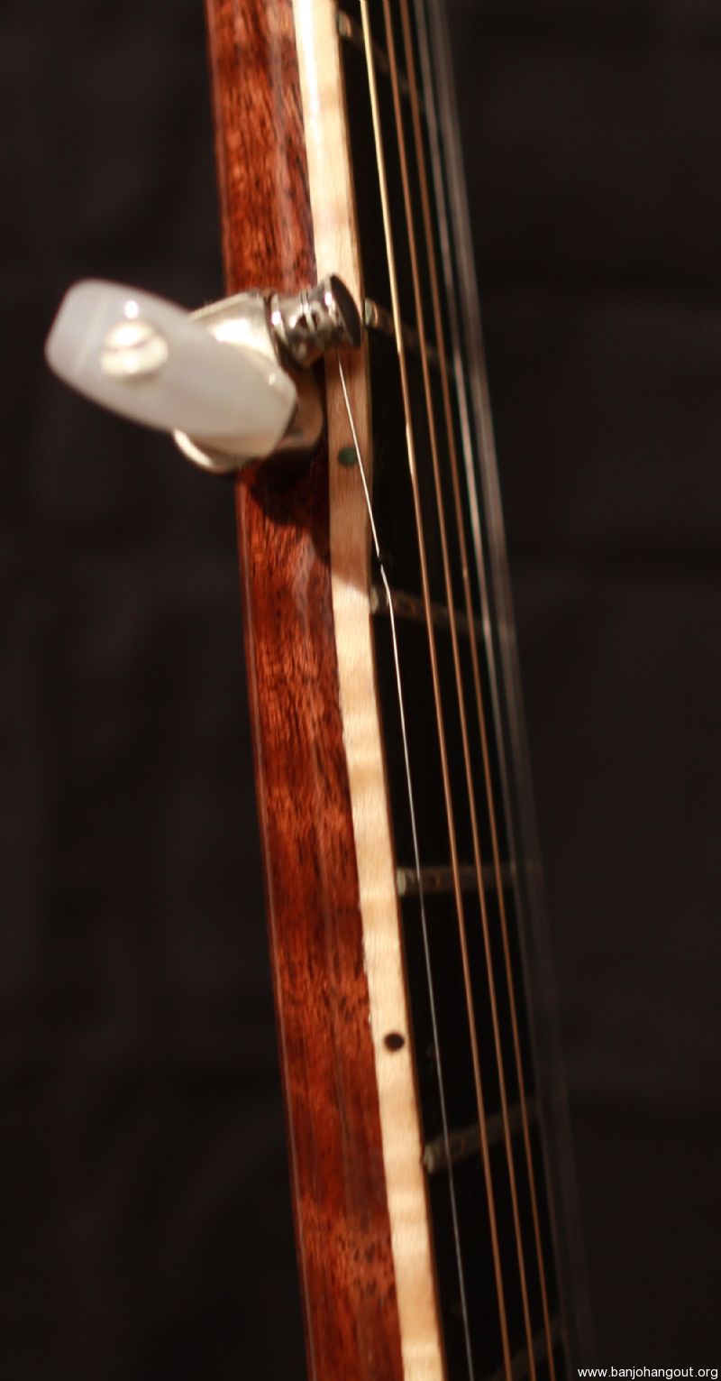 SOLD: Beautiful Nechville Custom 7-String Banjo | One-of-a-Kind - Used ...