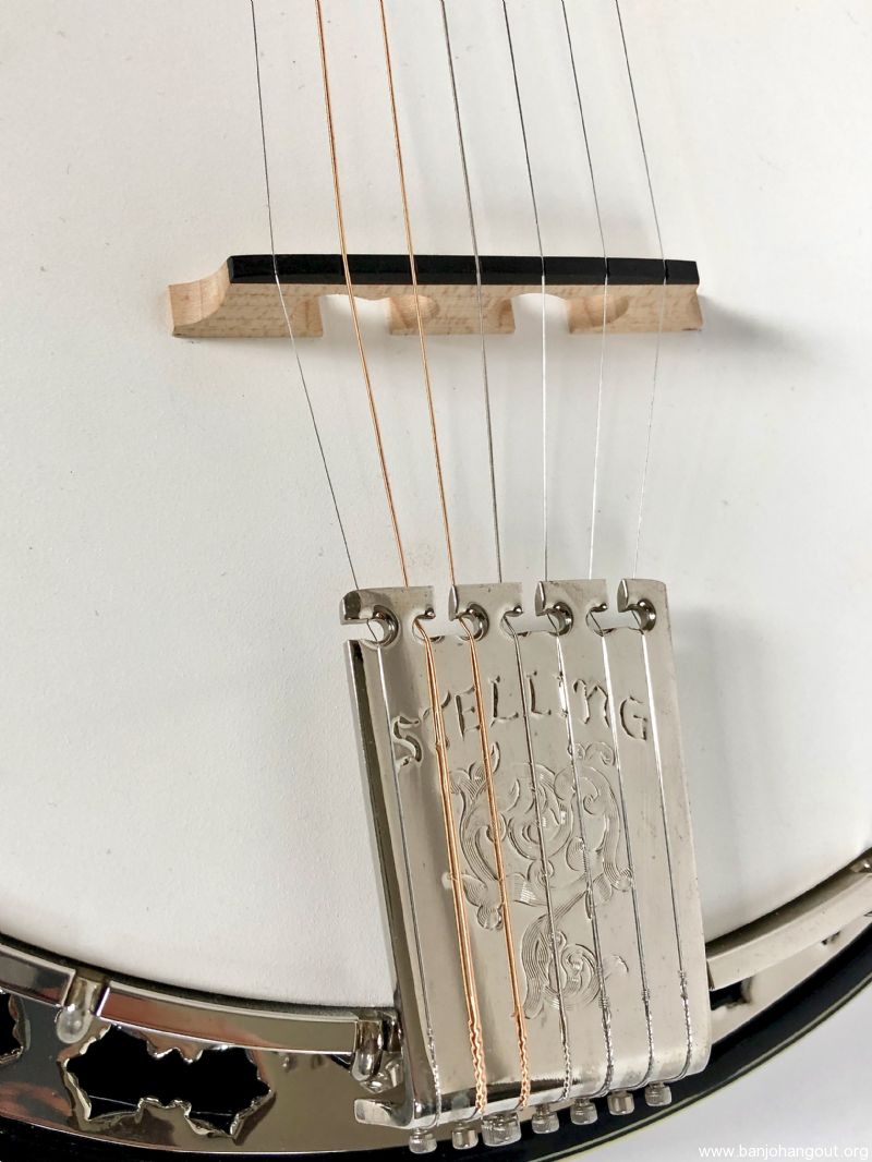 Custom Stelling 7-String Banjo | Crooked Still Instrument | Stunning ...