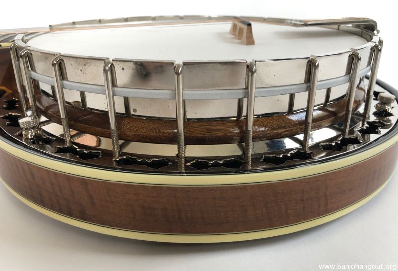 Custom Stelling 7-String Banjo | Crooked Still Instrument | Stunning ...