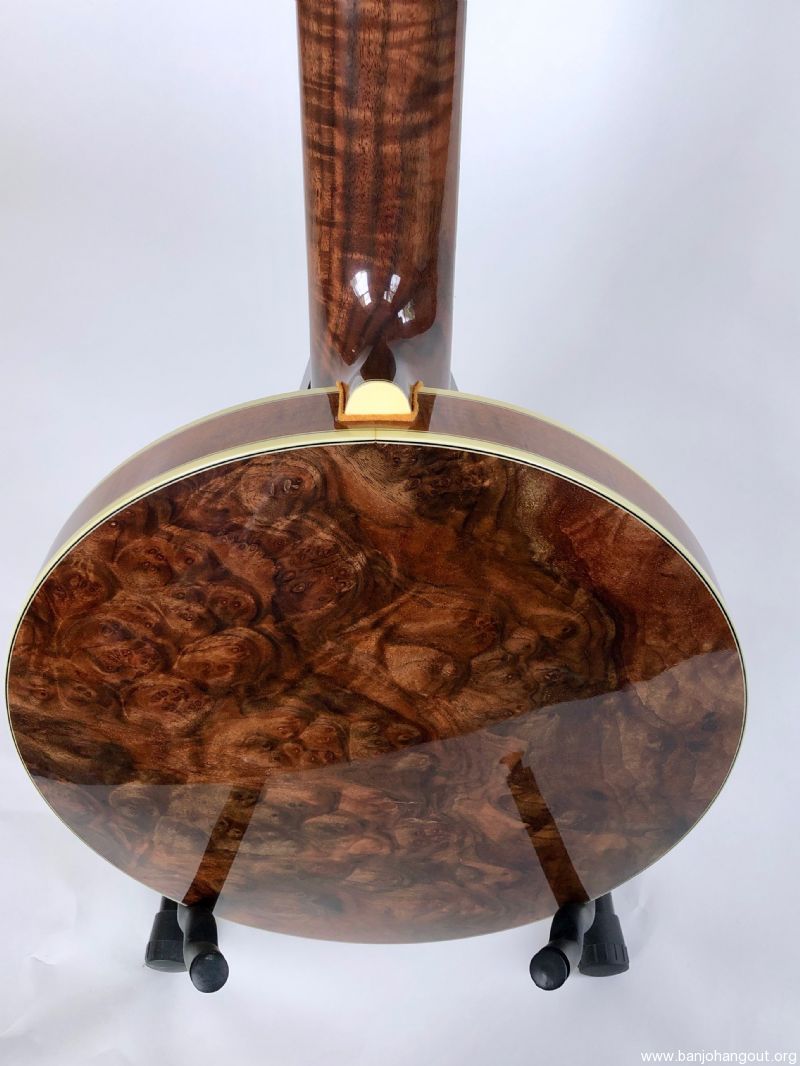 Custom Stelling 7-String Banjo | Crooked Still Instrument | Stunning ...