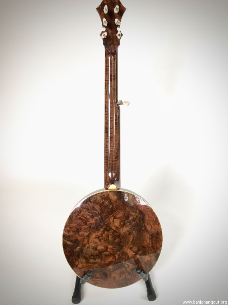 Custom Stelling 7-String Banjo | Crooked Still Instrument | Stunning ...