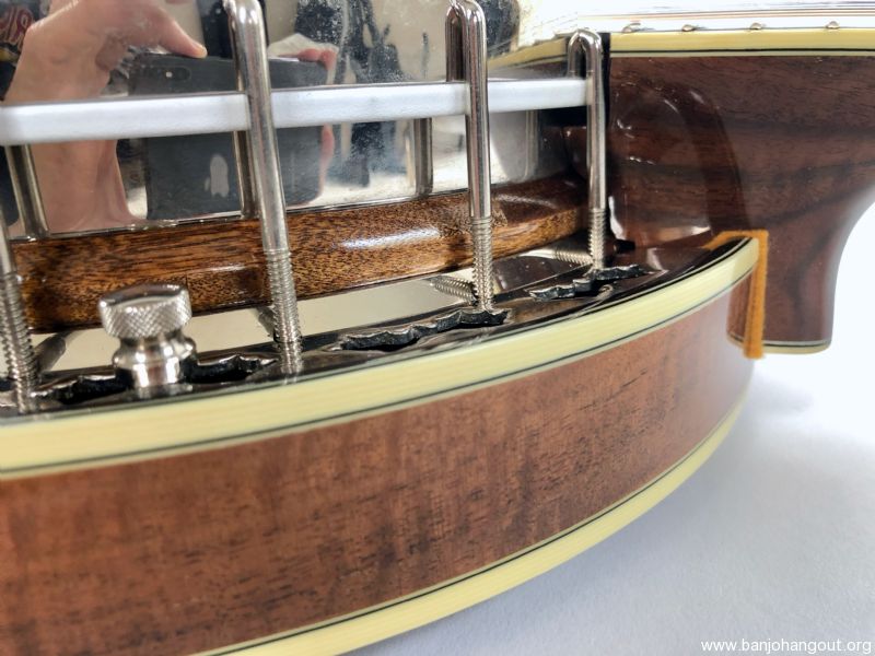 Custom Stelling 7-String Banjo | Crooked Still Instrument | Stunning ...