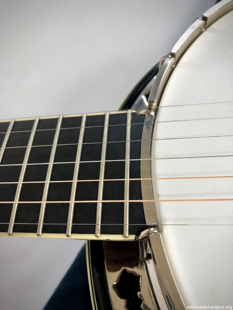 Custom Stelling 7-String Banjo | Crooked Still Instrument | Stunning ...