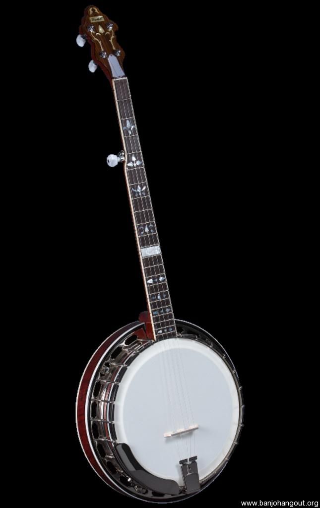 SOLD PENDING FUNDS Flinthill 300A Archtop Banjo - Used Banjo For Sale ...