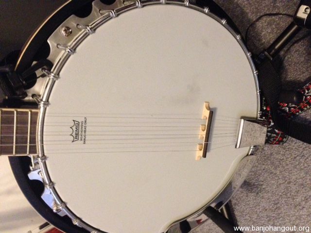 Rogue banjo lookin for new home - Used Banjo For Sale at BanjoBuyer.com