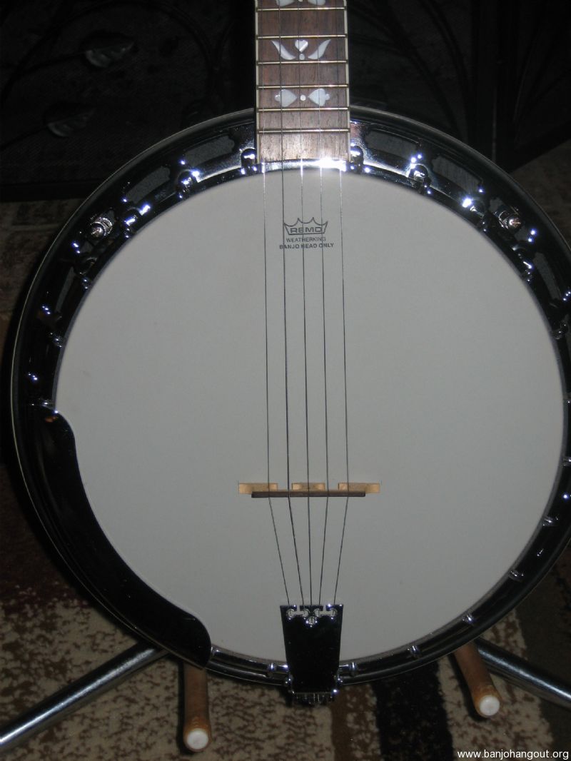 Recording King RK-R20 **Sold Pending Payment** - Used Banjo For Sale at ...