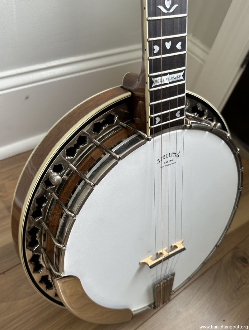1981 Stelling Bellflower - Used Banjo For Sale at BanjoBuyer.com