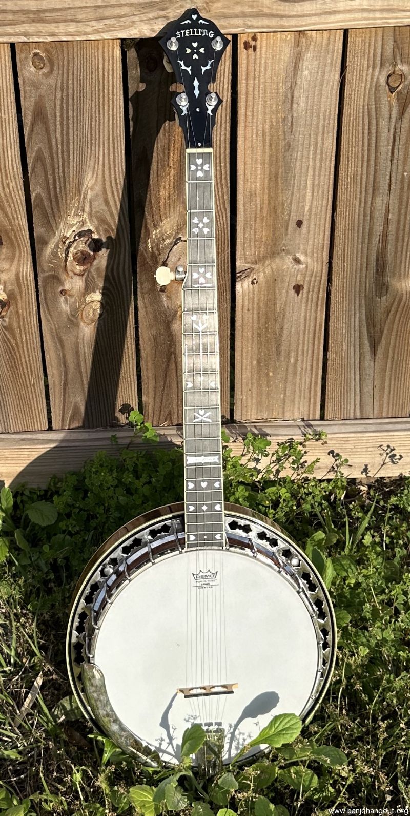 ON HOLD - 2007 Stelling Sunflower - Used Banjo For Sale at BanjoBuyer.com
