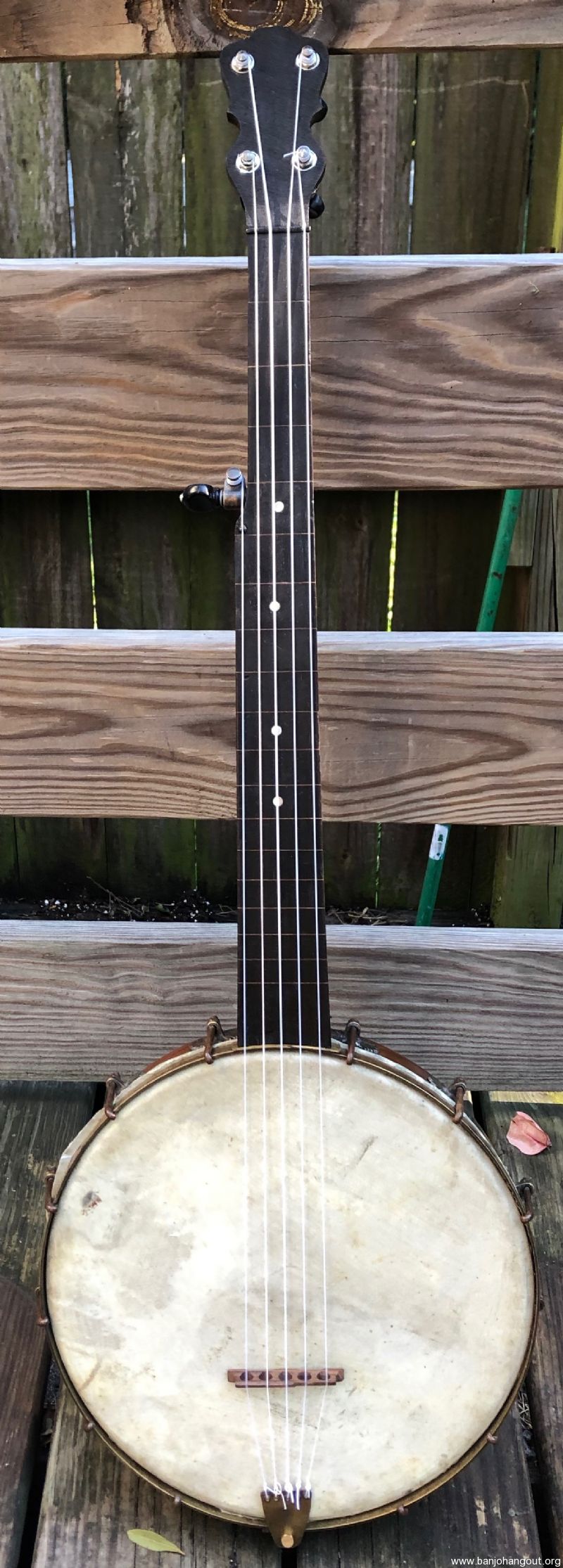 Lil Flushfret - Butterfly/L&H Marriage - Used Banjo For Sale at ...