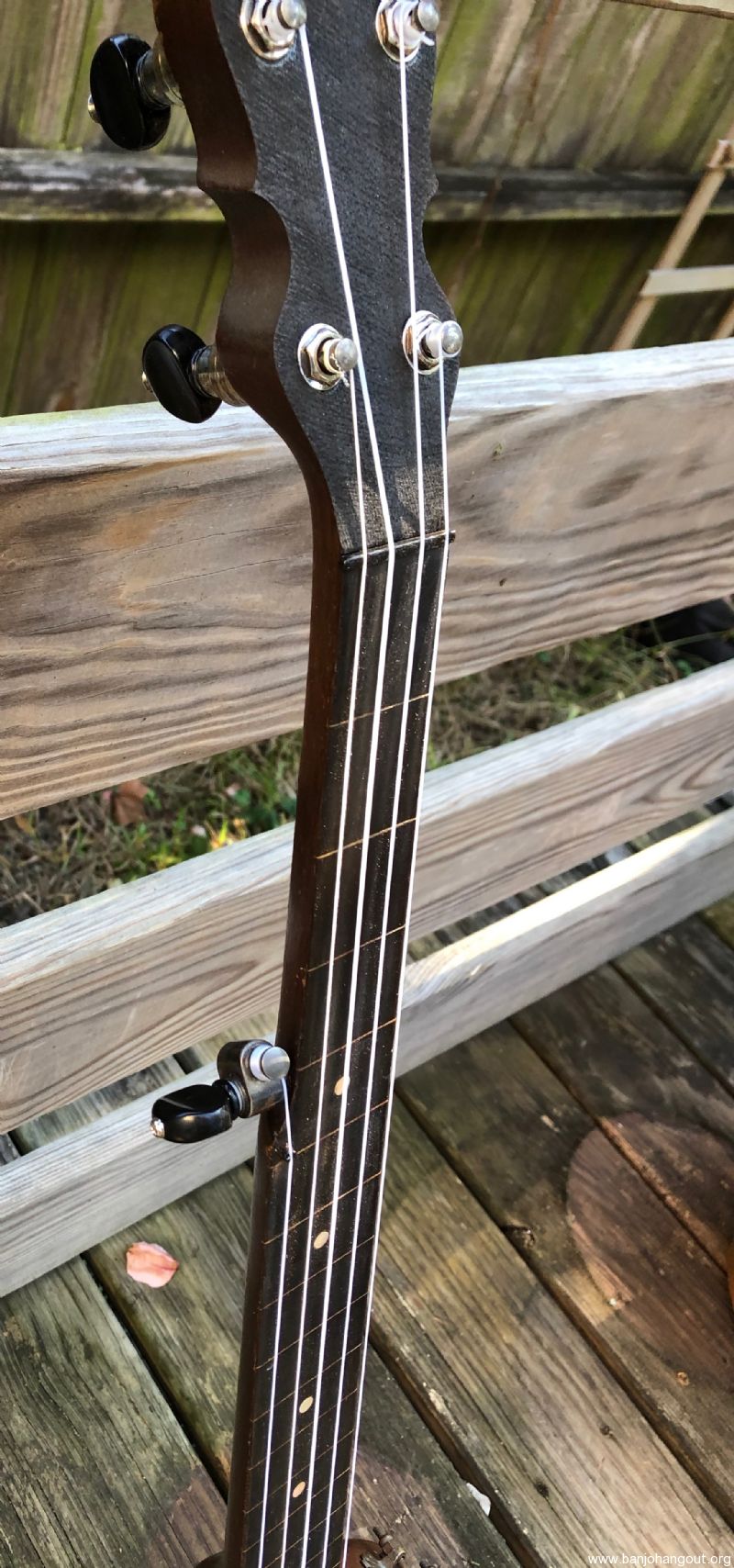 Lil Flushfret - Butterfly/L&H Marriage - Used Banjo For Sale at ...