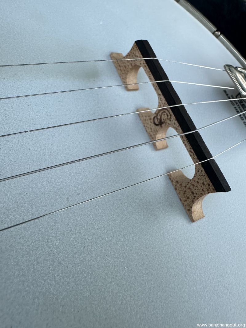 2014 Recording King RK-R36-BR, WITH D tuners - Used Banjo For Sale at ...
