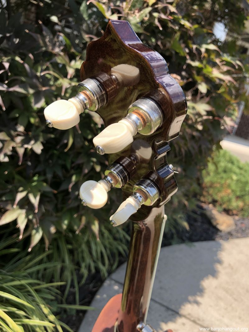 DP Hopkins Becky Buller - Used Banjo For Sale at BanjoBuyer.com