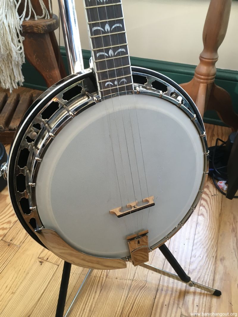 Recording King Archtop Banjo TB-11 style Pearloid RK-R60A - Used Banjo ...