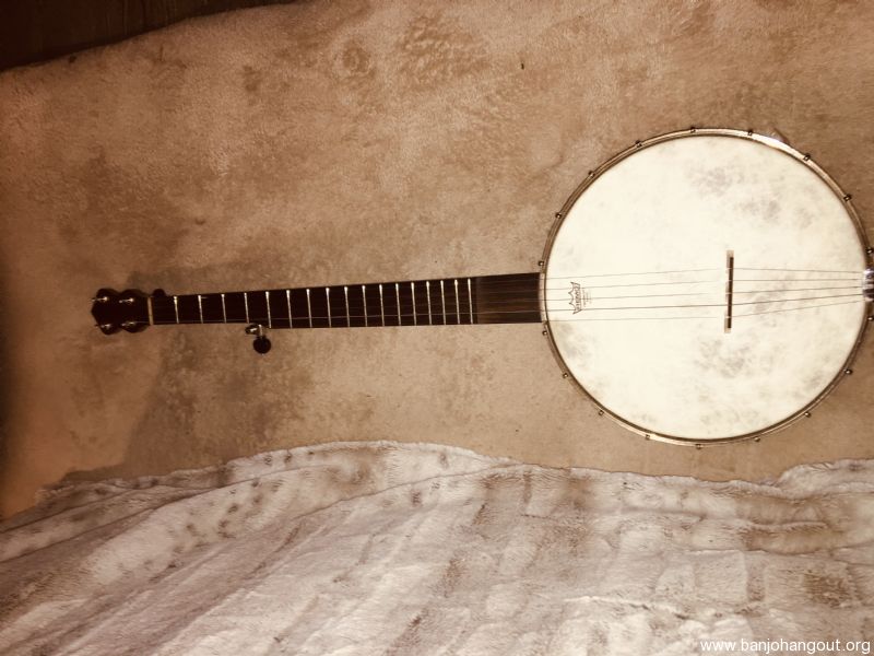 Cedar Mountain Brainjo - Used Banjo For Sale at BanjoBuyer.com