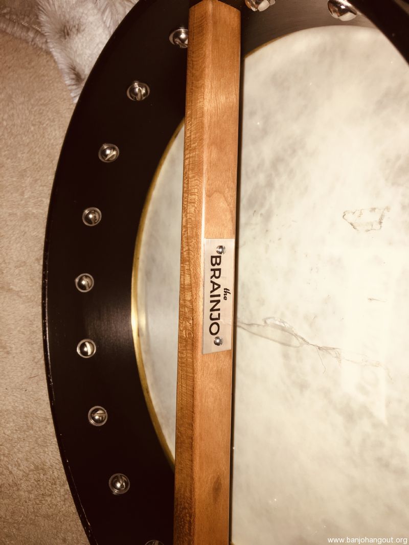 Cedar Mountain Brainjo - Used Banjo For Sale at BanjoBuyer.com