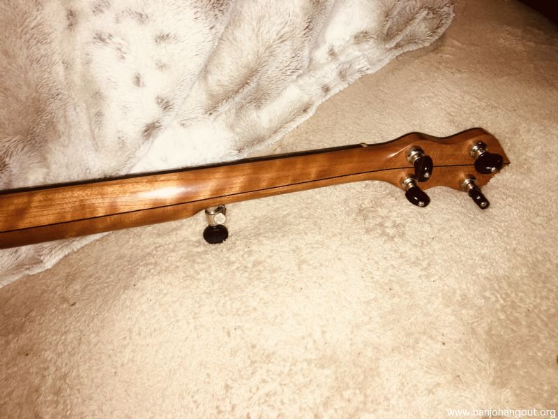 Cedar Mountain Brainjo - Used Banjo For Sale at BanjoBuyer.com