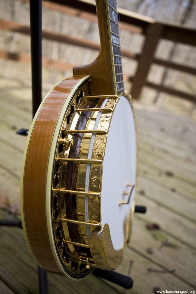Stelling Carolinian Deluxe ON HOLD - Used Banjo For Sale from Banjo Vault