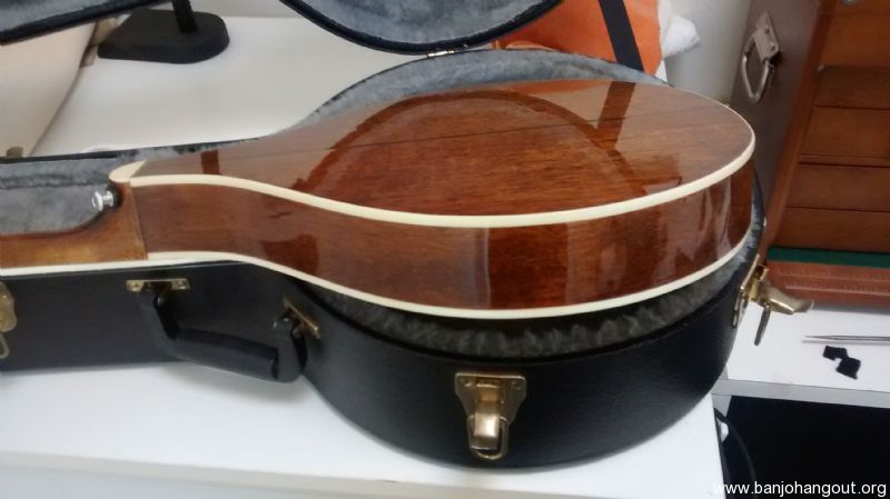 Gold Tone Banjola Excellent with TKL hardcase REDUCED - Used Banjo For ...
