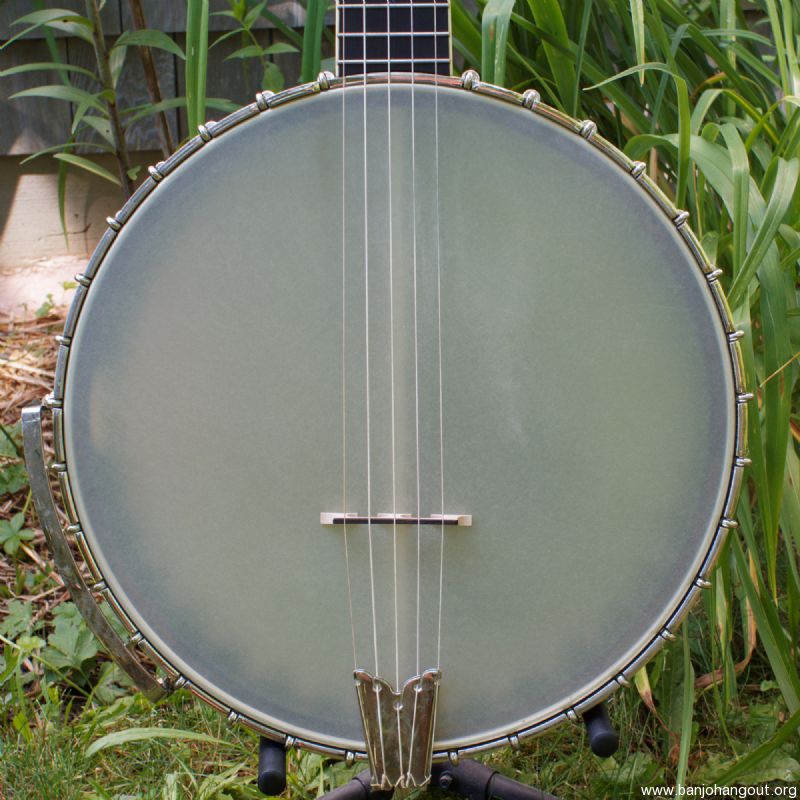 Gold Tone CEB-5: 5-String Cello Banjo with Case - Used Banjo For Sale ...