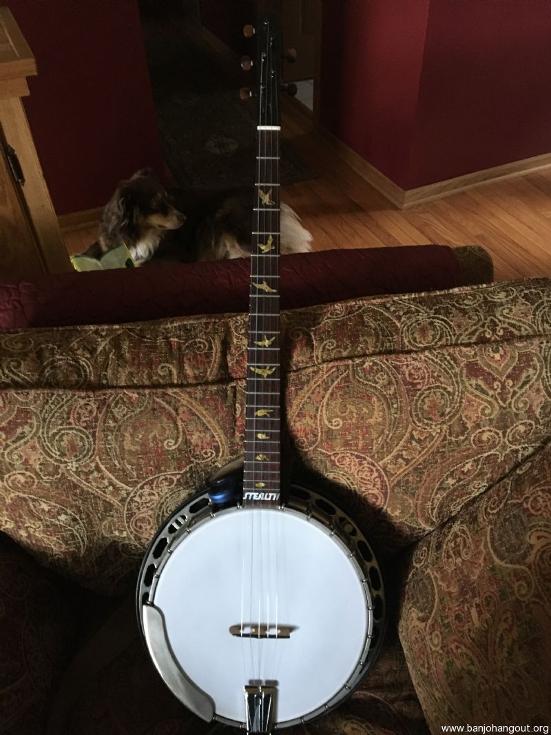 Trade pending Stealth banjo for sale or trade - Used Banjo For Sale at ...